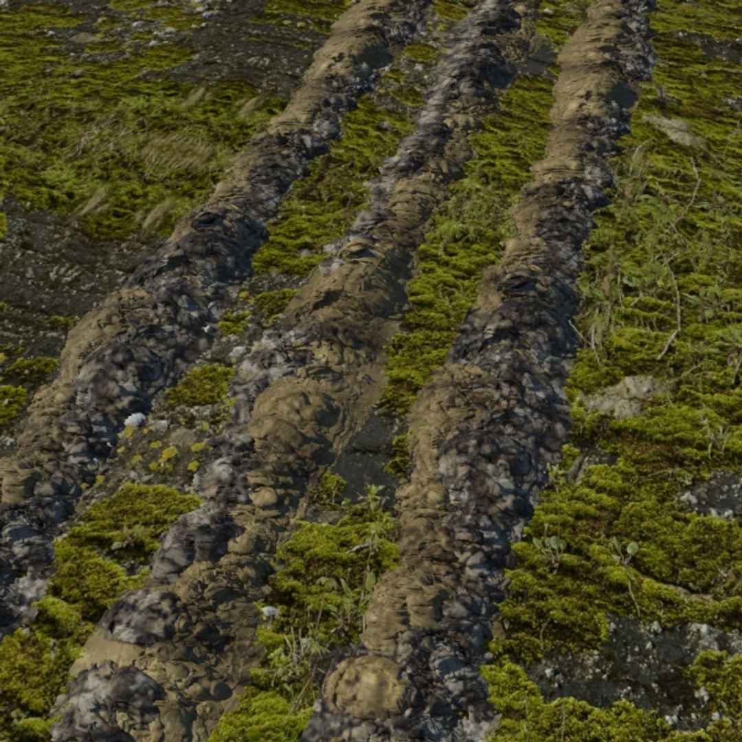 3dsmax Dirt Rows Grass