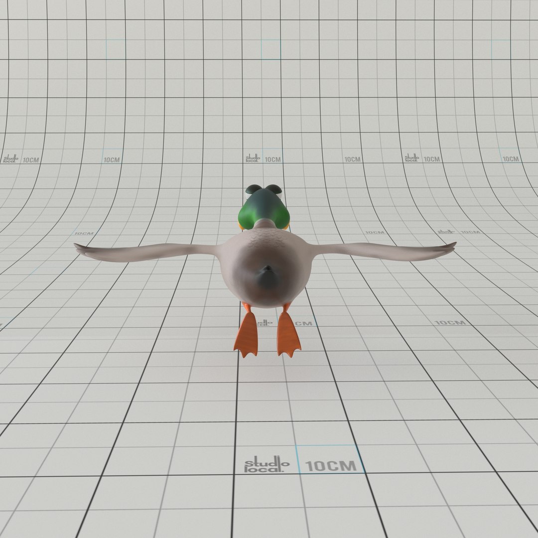 Cartoon Duck Rig 3D Model - TurboSquid 1210576