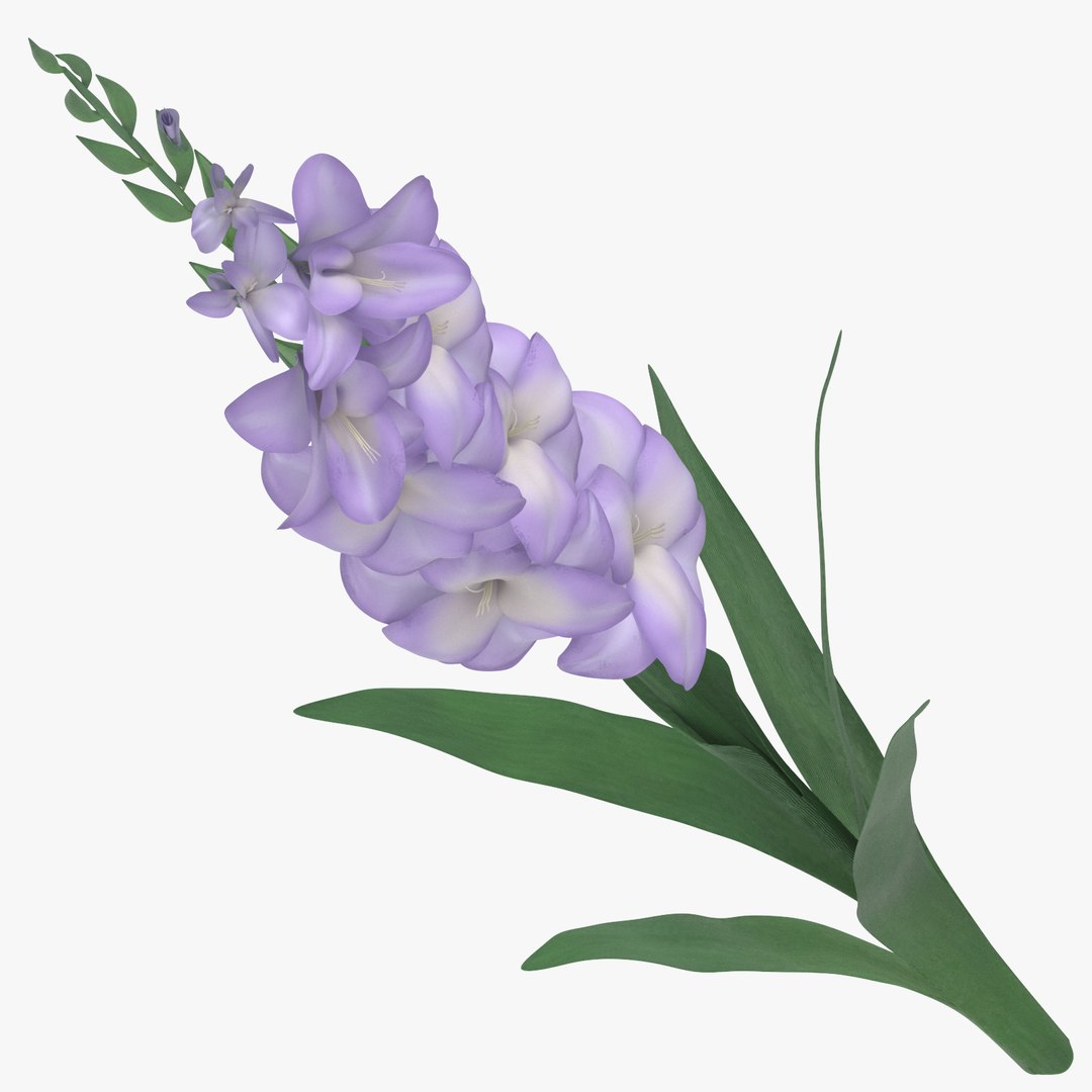 3D model purple floral set 02 - TurboSquid 1452561