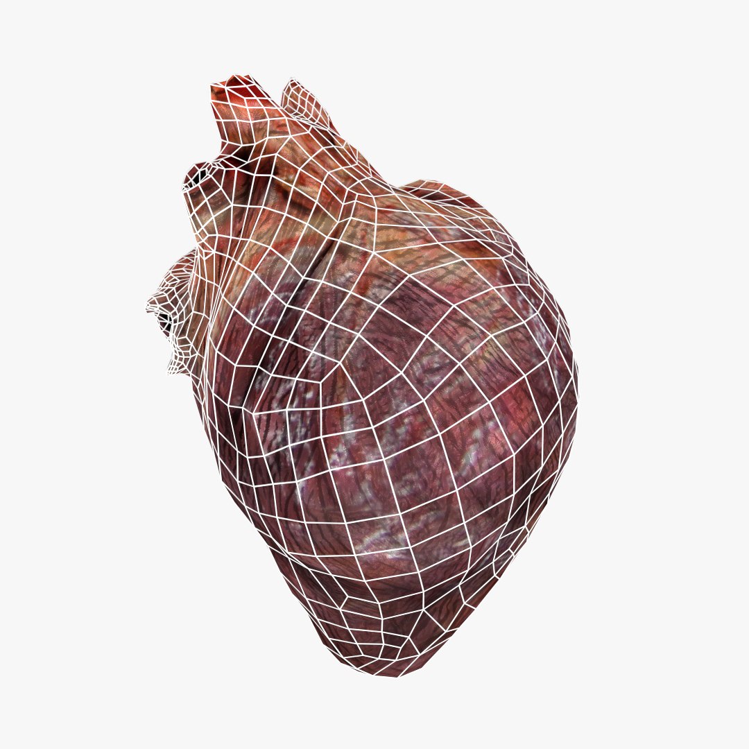 Free Heart 3d Model