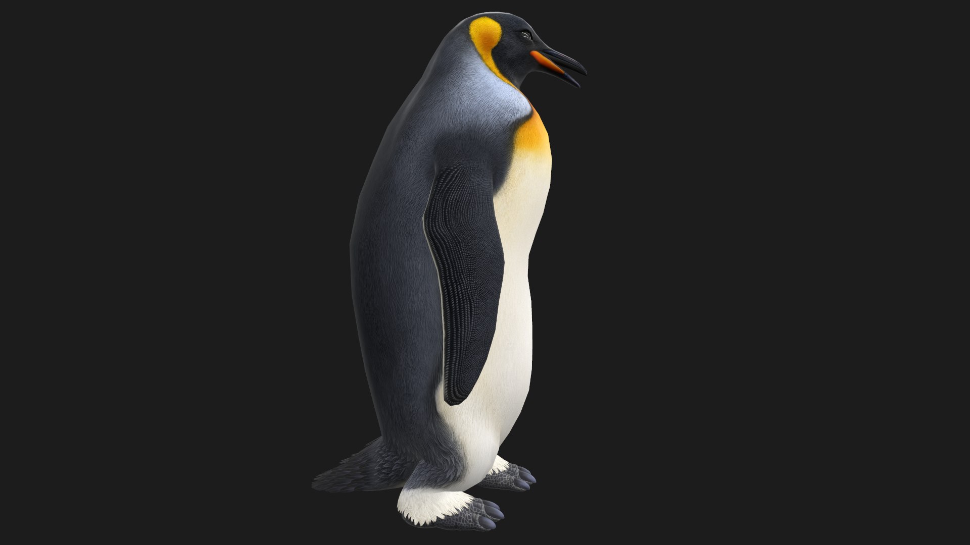 3D Animated Penguin - TurboSquid 2272836