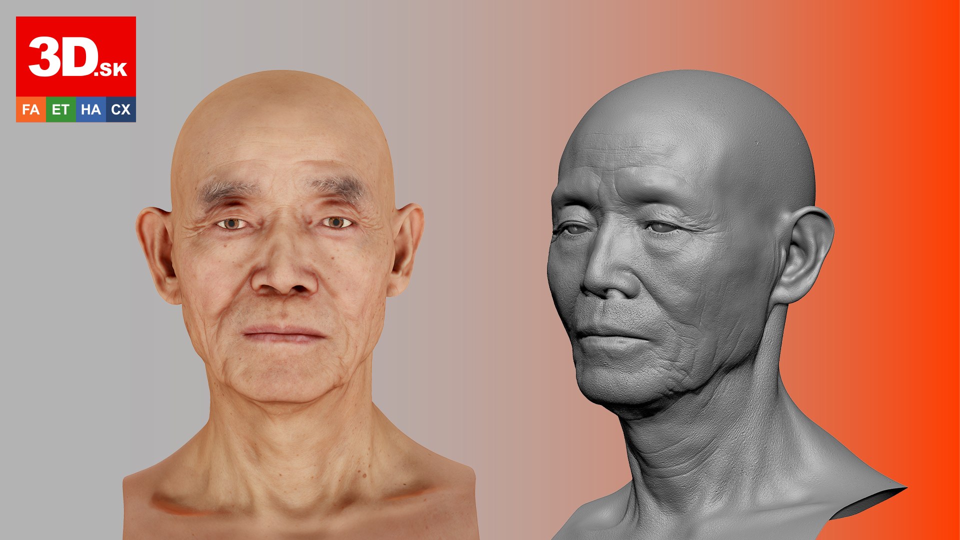 ReRetopologized Head Scan Ike Hidetsugu 3D Model - TurboSquid 1800323