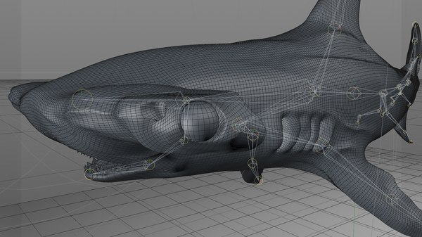 3D model hammerhead shark rigged l587 - TurboSquid 1513320