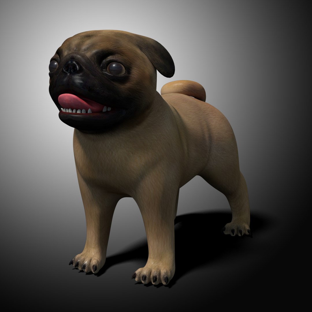 Pug Dog Obj