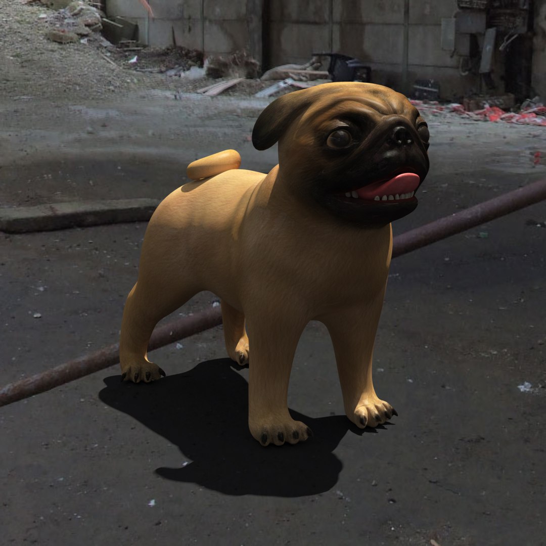 Pug Dog Obj