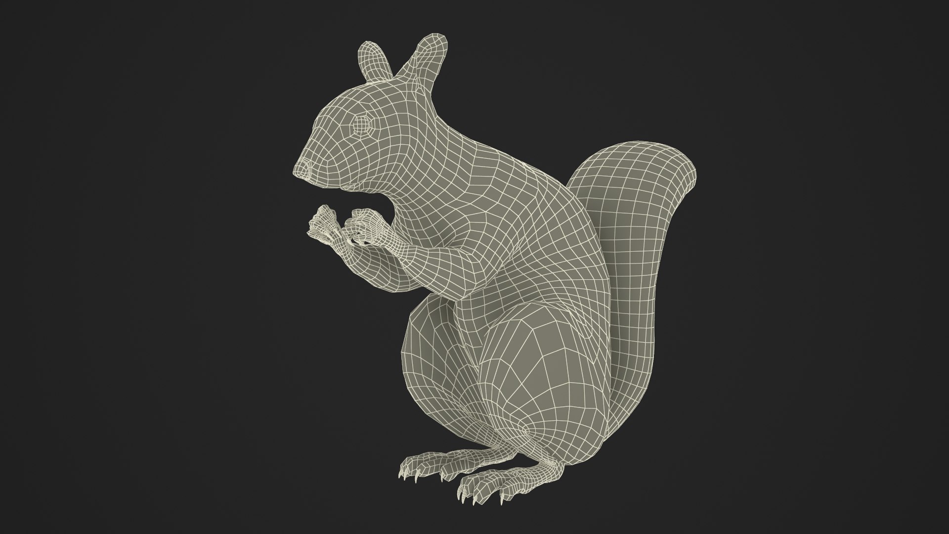 3D Model Red Squirrel In A Sitting Pose - TurboSquid 2264765