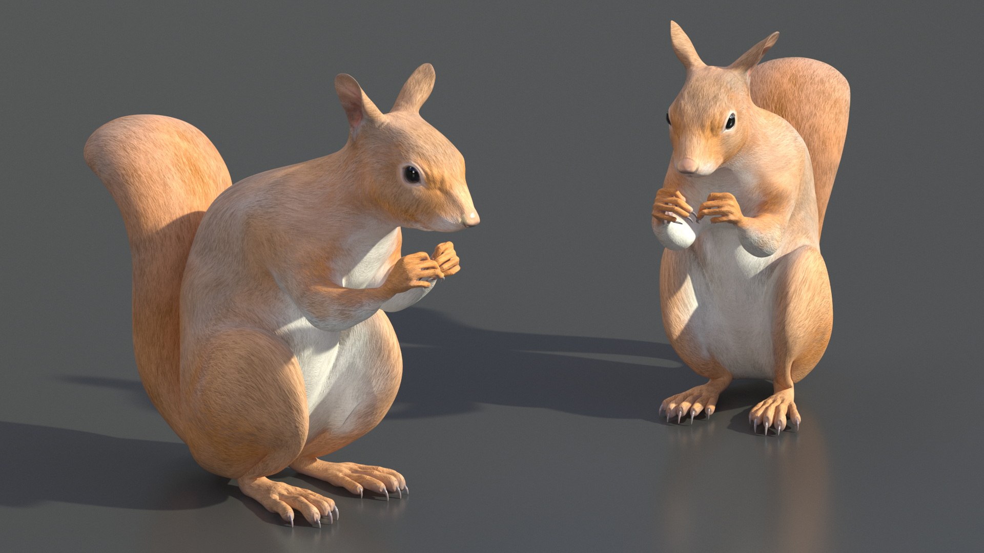 3D Model Red Squirrel In A Sitting Pose - TurboSquid 2264765