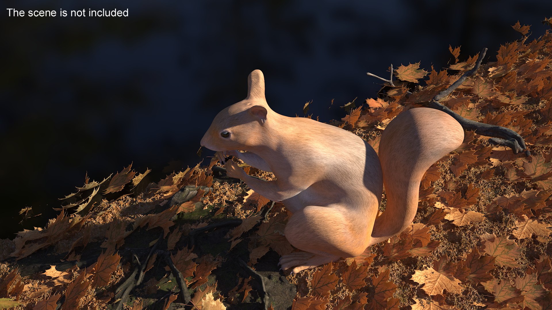 3D Model Red Squirrel In A Sitting Pose - TurboSquid 2264765