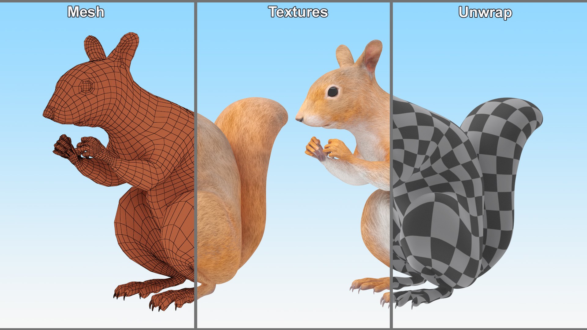 3D Model Red Squirrel In A Sitting Pose - TurboSquid 2264765