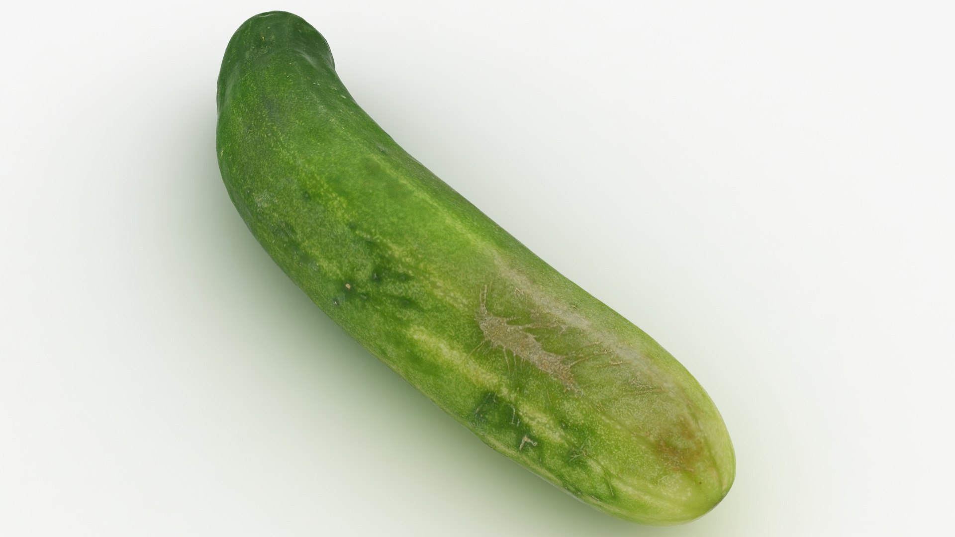 3D small cucumber model - TurboSquid 1682650