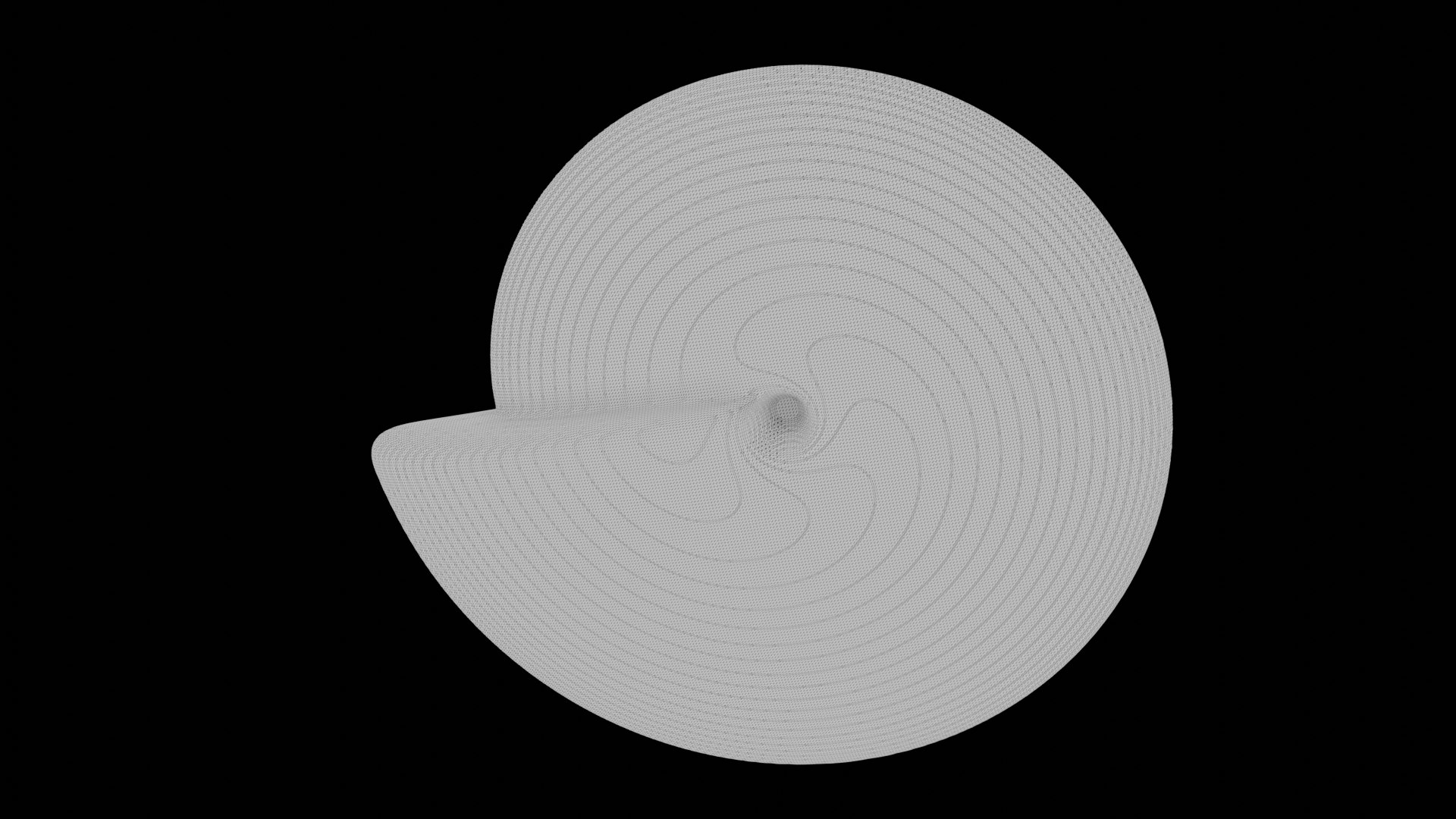3D Ammonoid Shell Involute And Compressed Prodromites Model ...