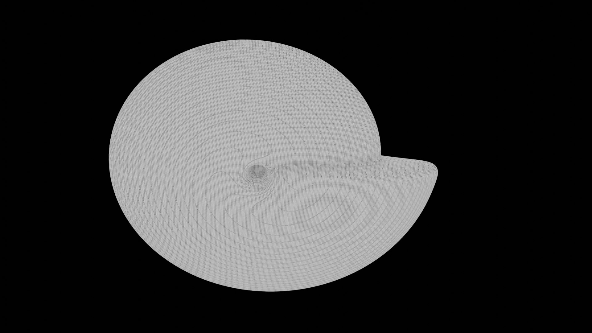 3D Ammonoid Shell Involute And Compressed Prodromites Model ...