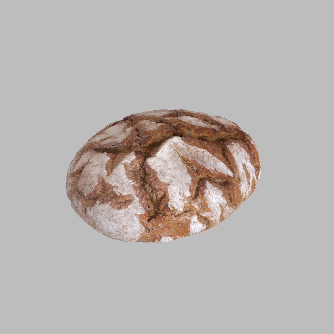 3d photogrammetry scan model