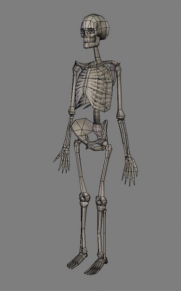 maya skeleton