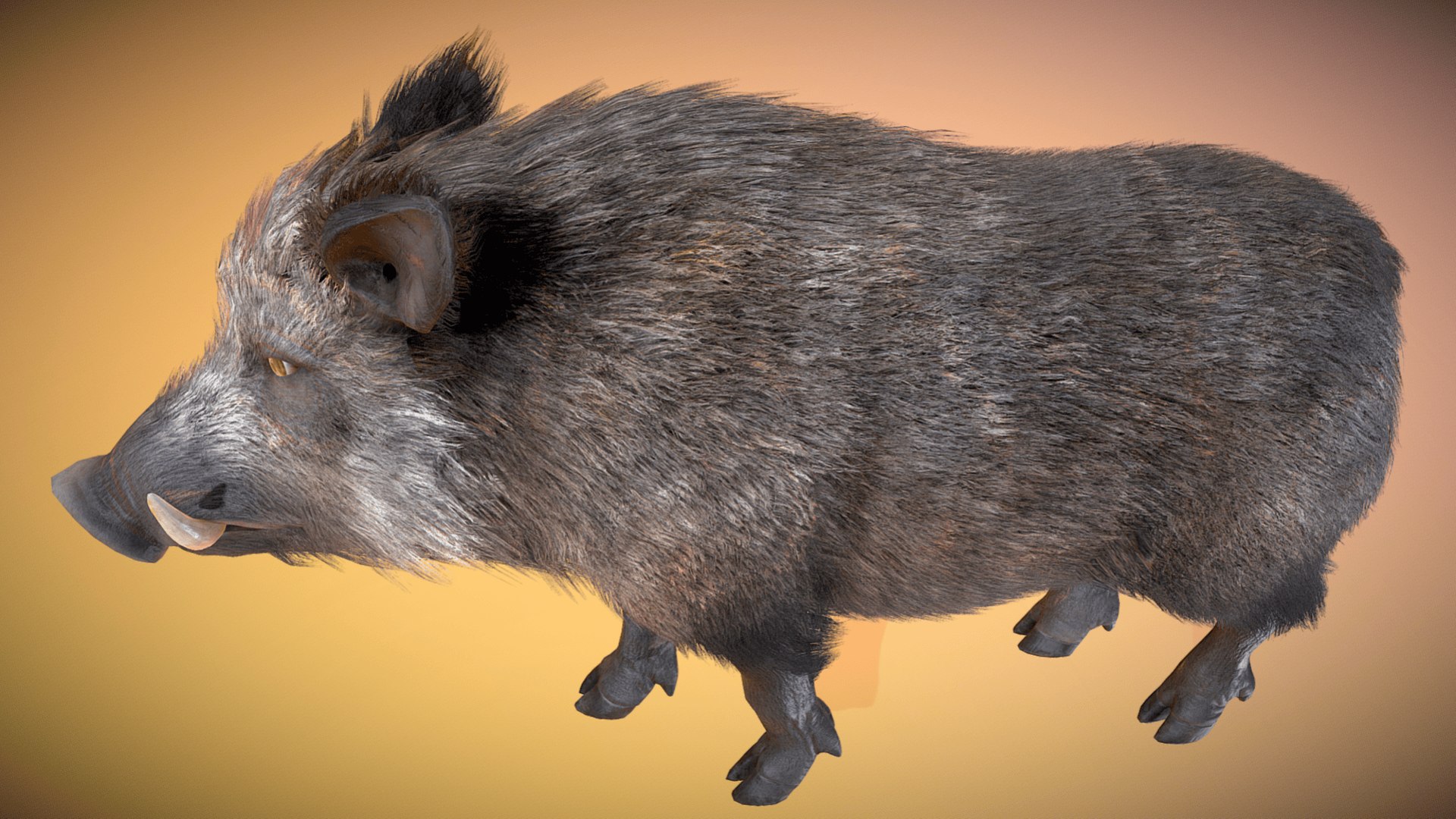 Boar Realistic Rigged And Animated - Highly Detailed Model Model ...
