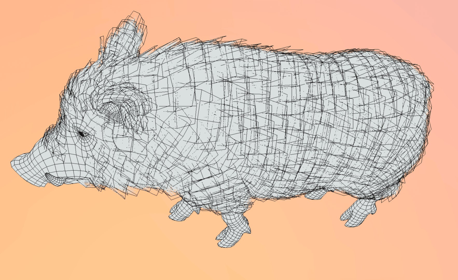 Boar Realistic Rigged And Animated - Highly Detailed Model Model ...