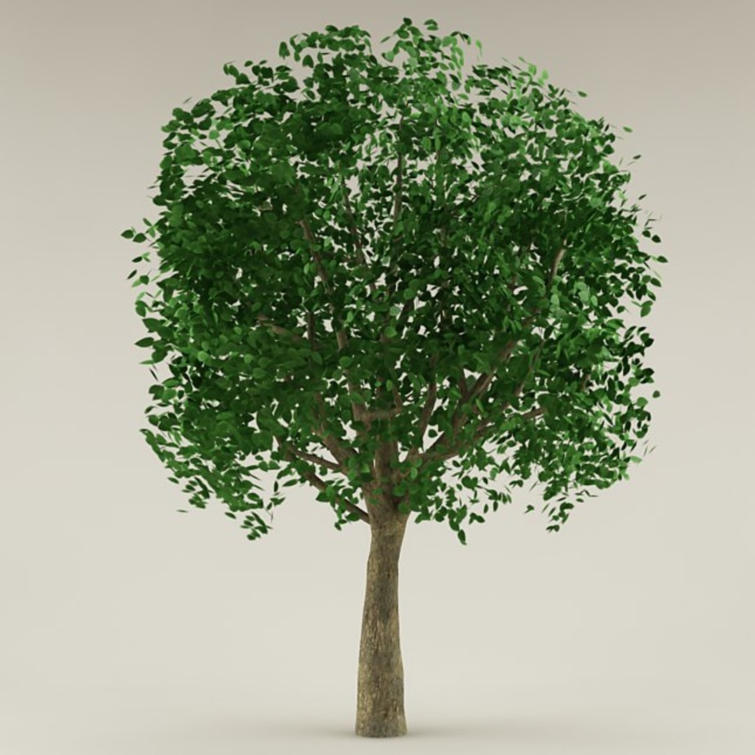 3ds Max Tree Garden