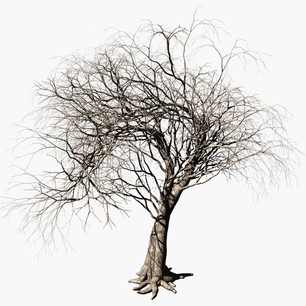 Dead tree 3D 모델 - TurboSquid 1879115