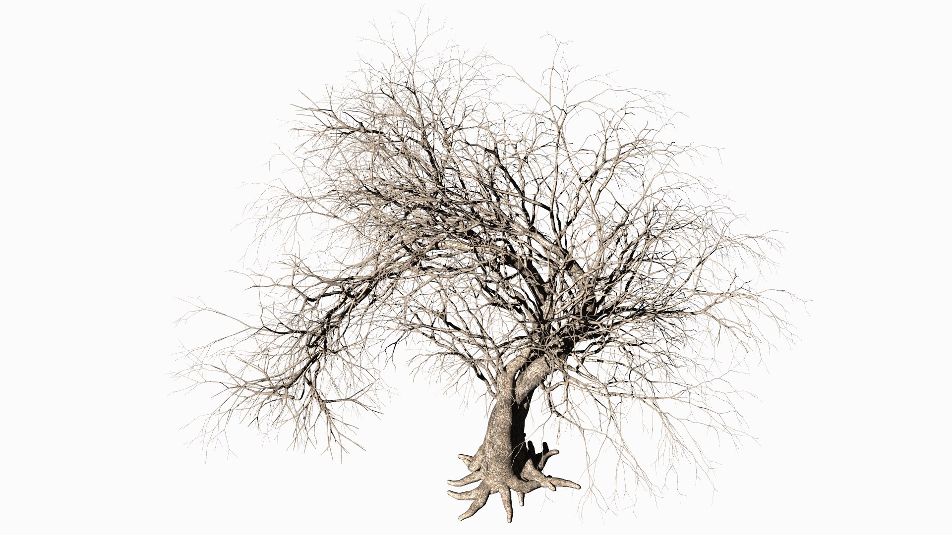 3D Dead Tree Model - TurboSquid 1879115