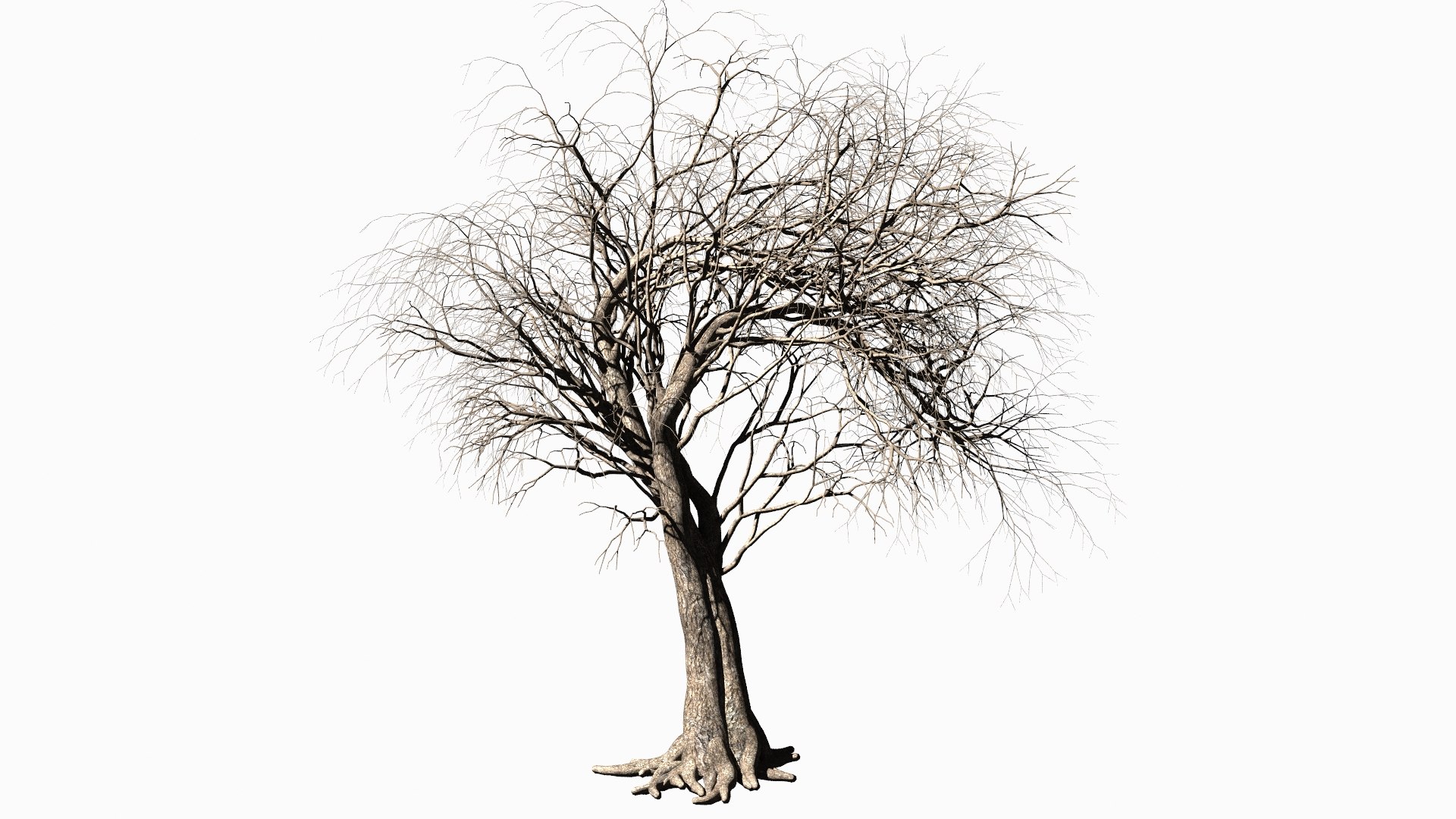 3D Dead Tree Model - TurboSquid 1879115
