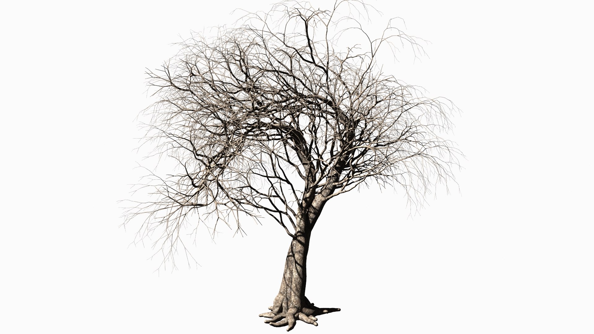 3D Dead Tree Model - TurboSquid 1879115