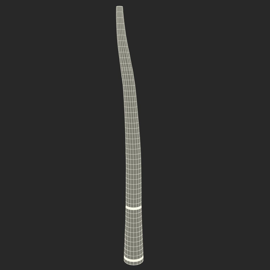 Wind Instrument Didgeridoo 3d Model