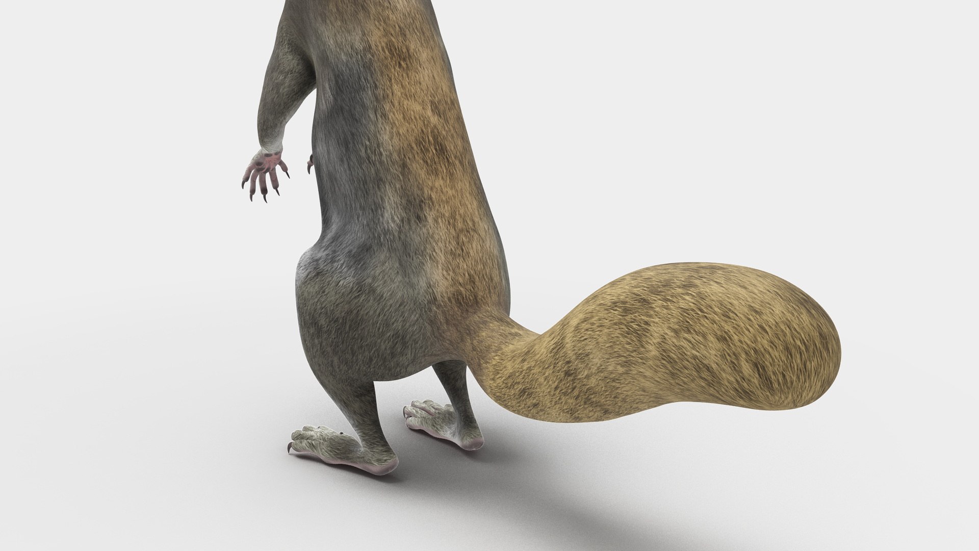 Gray Squirrel In Standing Pose 3D Model - TurboSquid 2264868