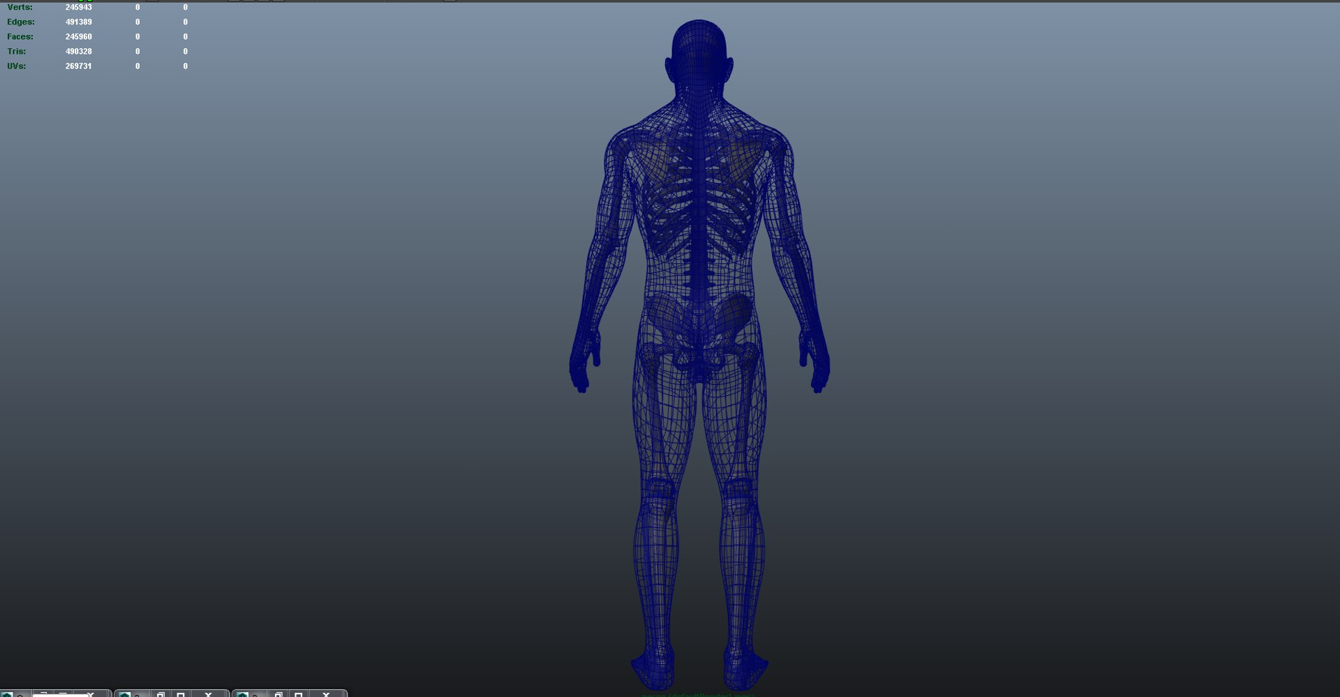 Body Skeleton 3D Model - TurboSquid 1216984