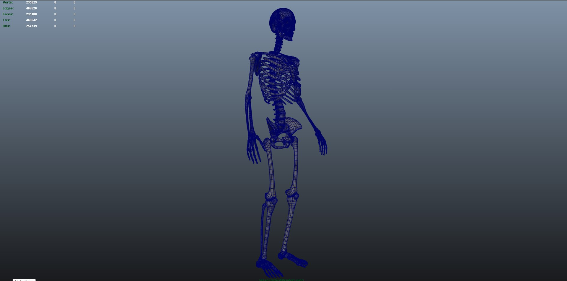 Body Skeleton 3D Model - TurboSquid 1216984