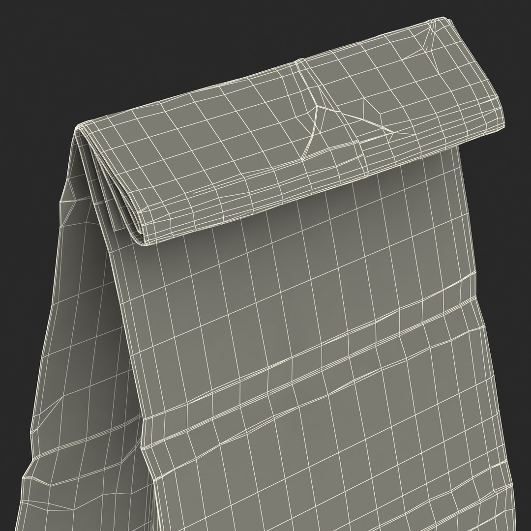 Paper Bag 2 3d Model