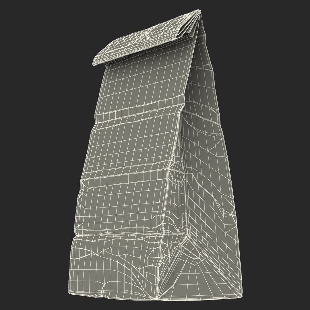 Paper Bag 2 3d Model