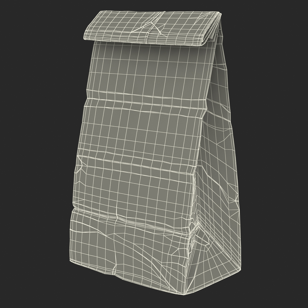 Paper Bag 2 3d Model