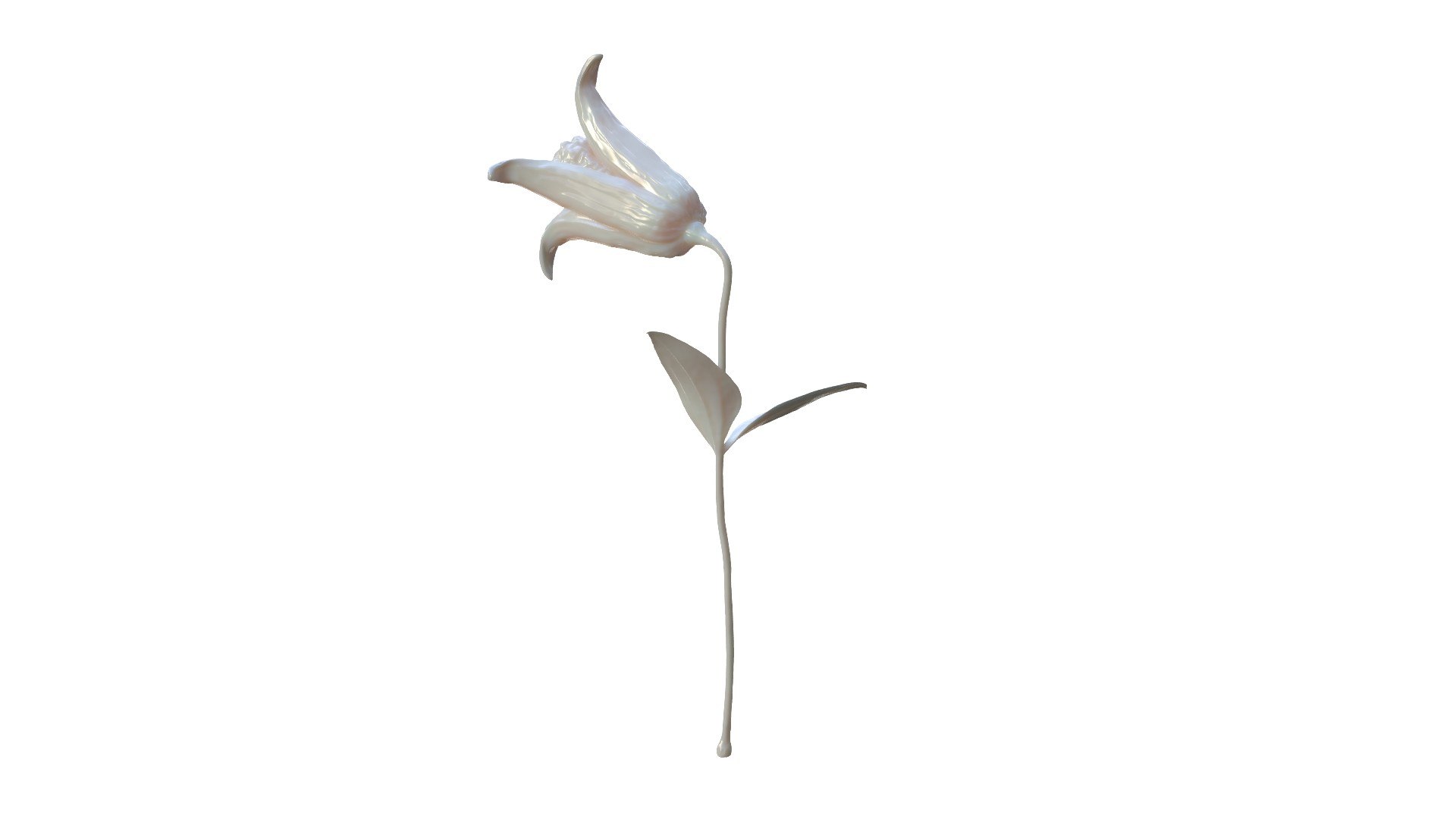 Clementis Flower 3D Model - TurboSquid 2118375