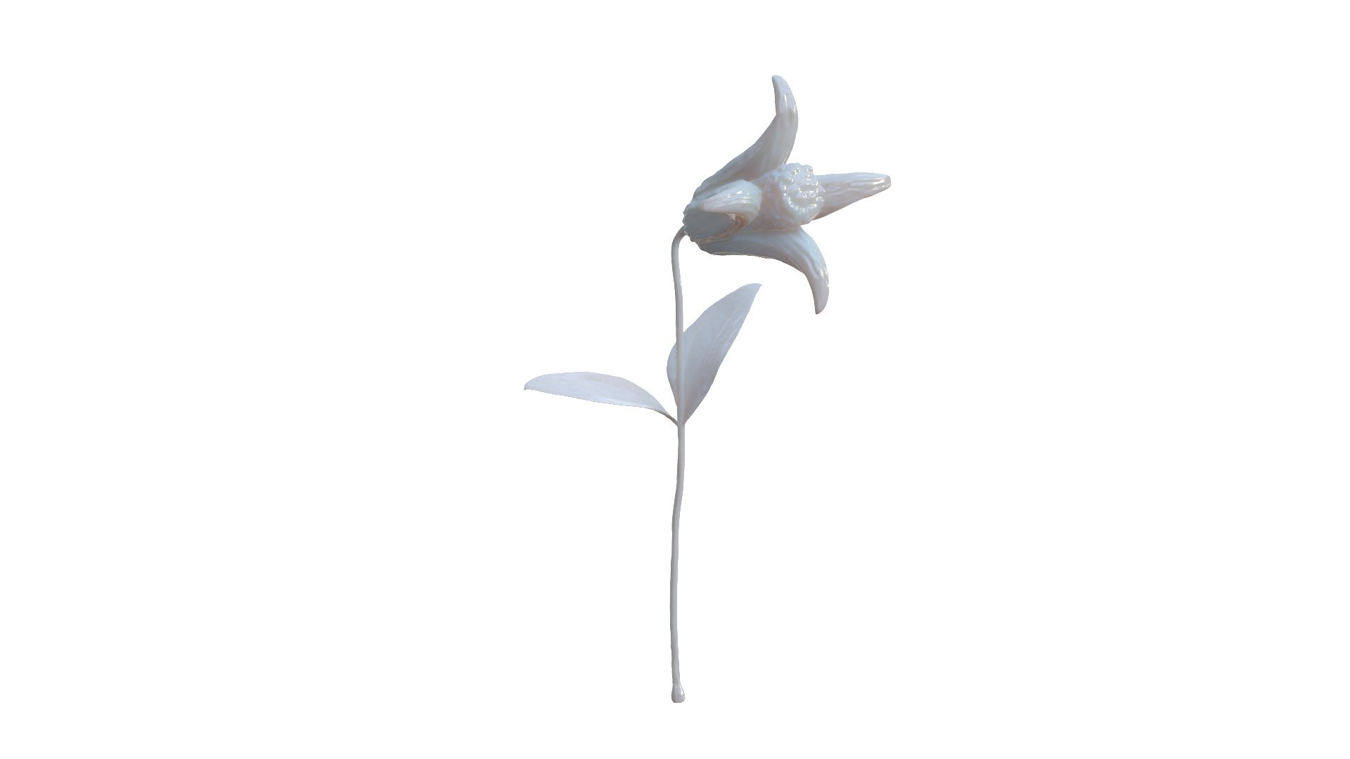 Clementis flower 3D model - TurboSquid 2118375