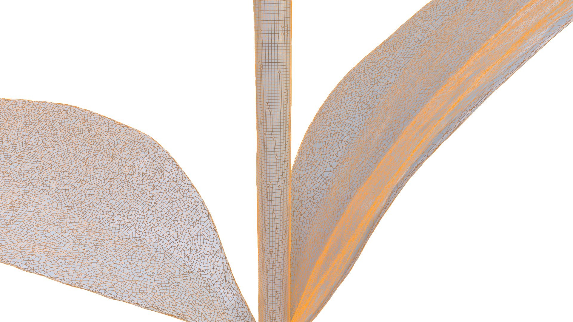 Clementis flower 3D model - TurboSquid 2118375
