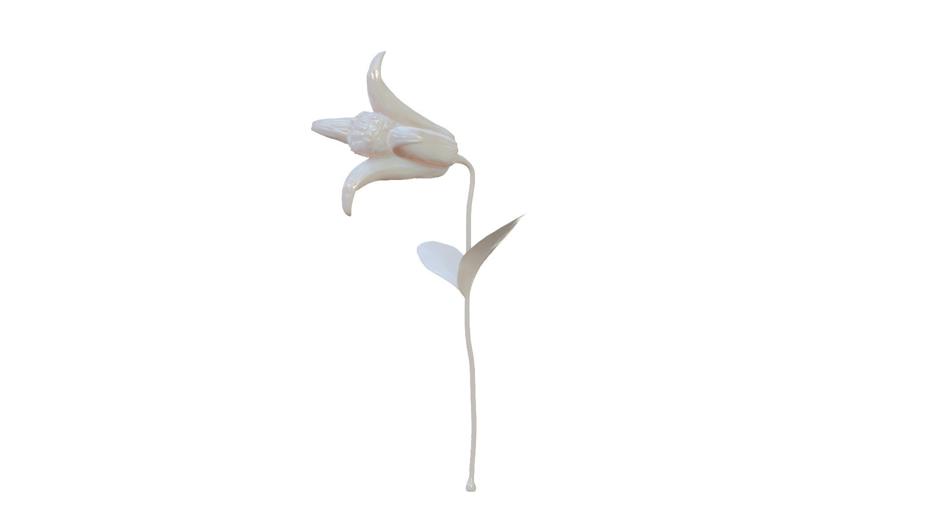 Clementis flower 3D model - TurboSquid 2118375
