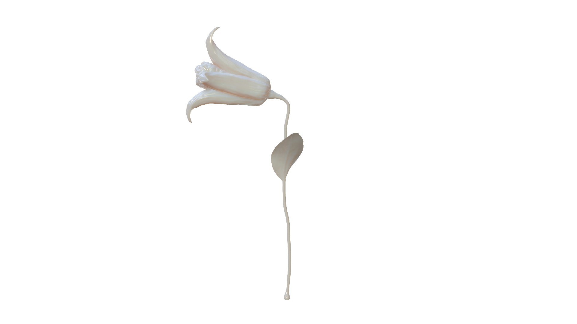 Clementis flower 3D model - TurboSquid 2118375