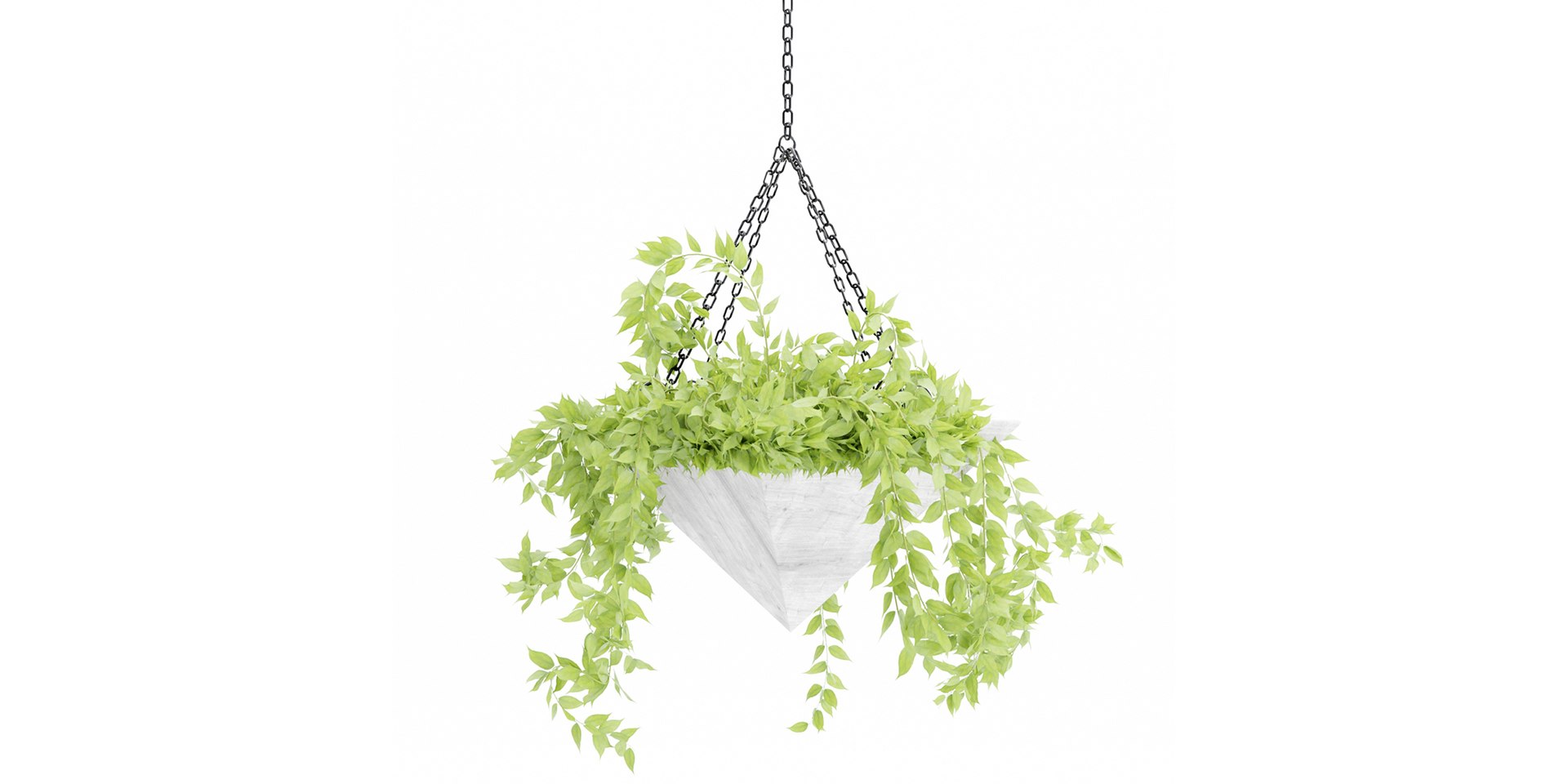 Hanging plant indoor collection vol 46-Blender model - TurboSquid 2114294