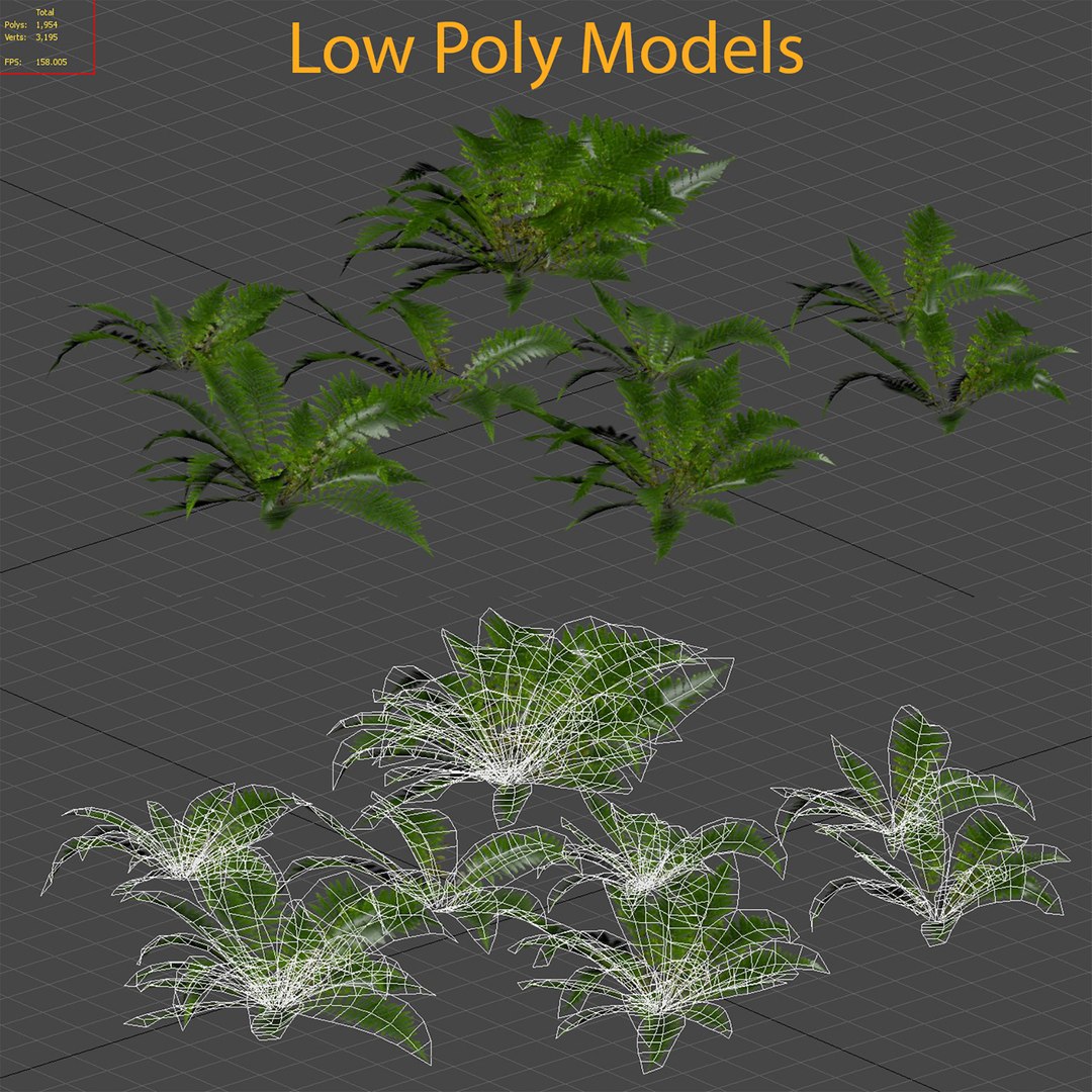 3D Low Poly Fern Plants Collection Vol 217 Model - TurboSquid 2078749