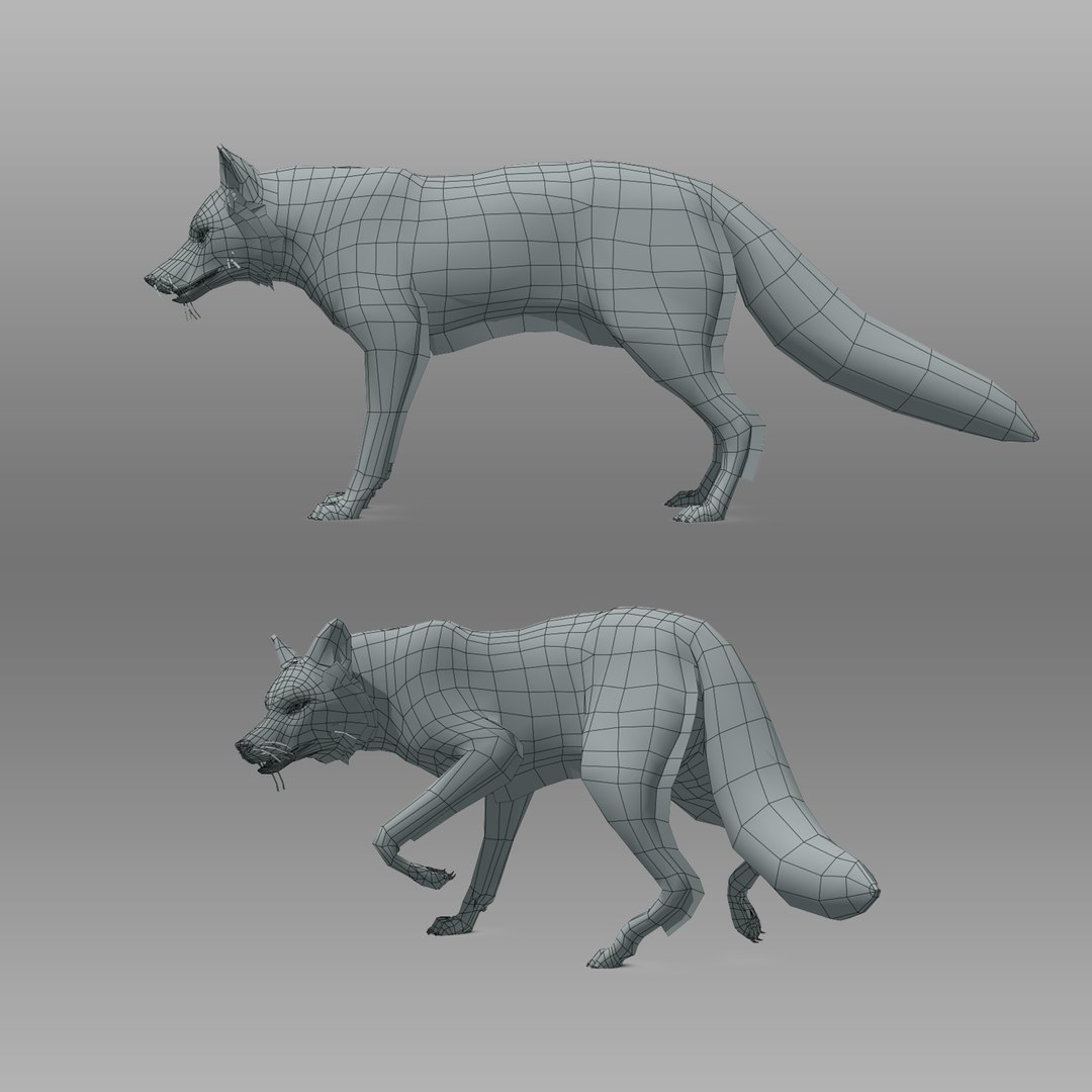 3d Red Fox Animations