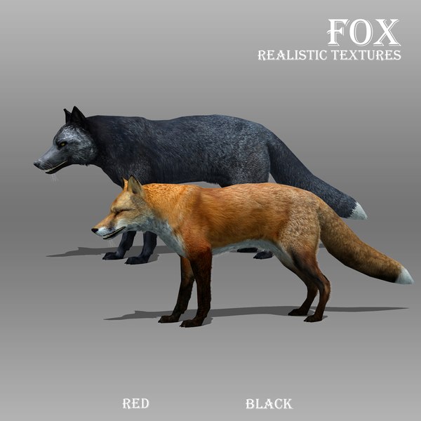 Fox 3D Models for Download | TurboSquid