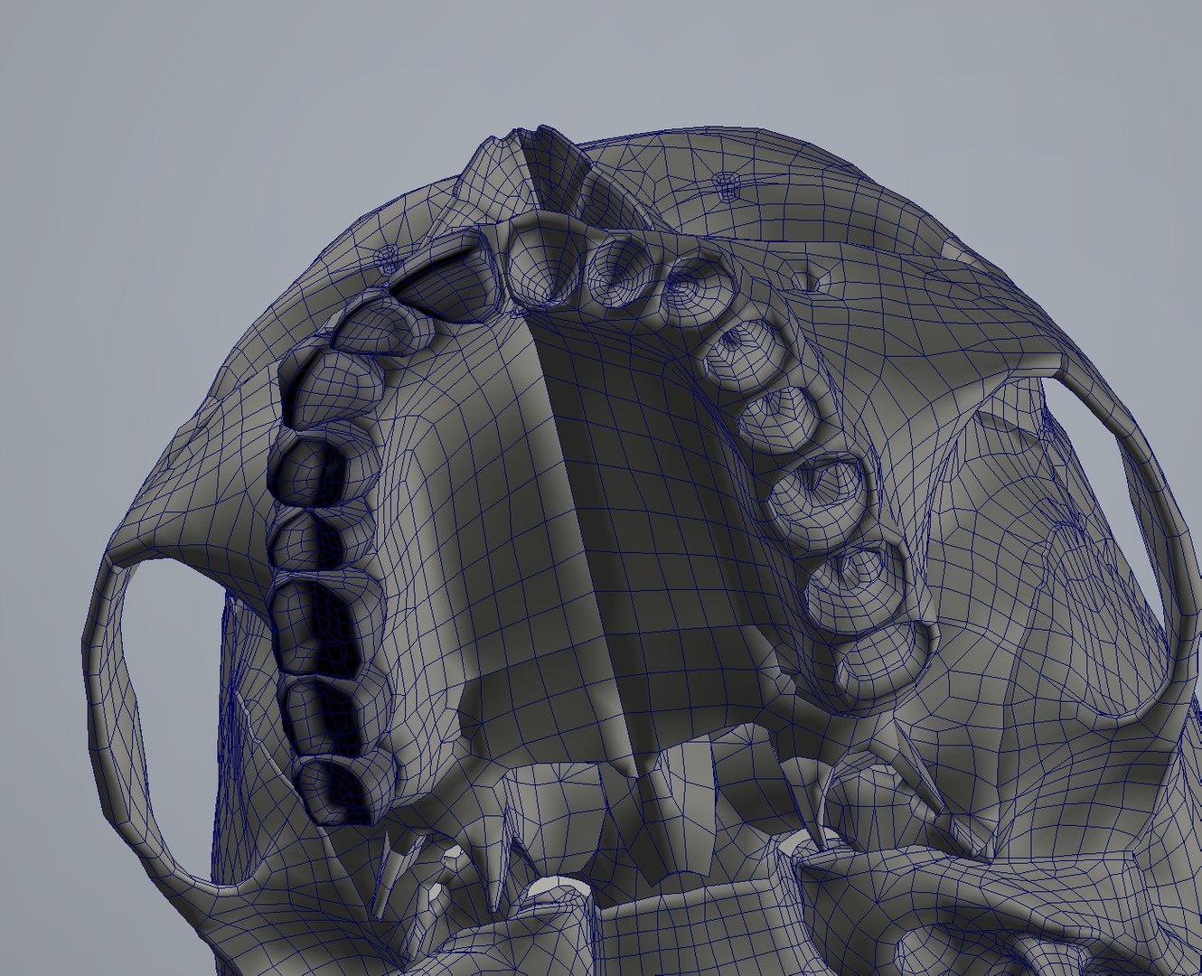 3d Model Human Skull