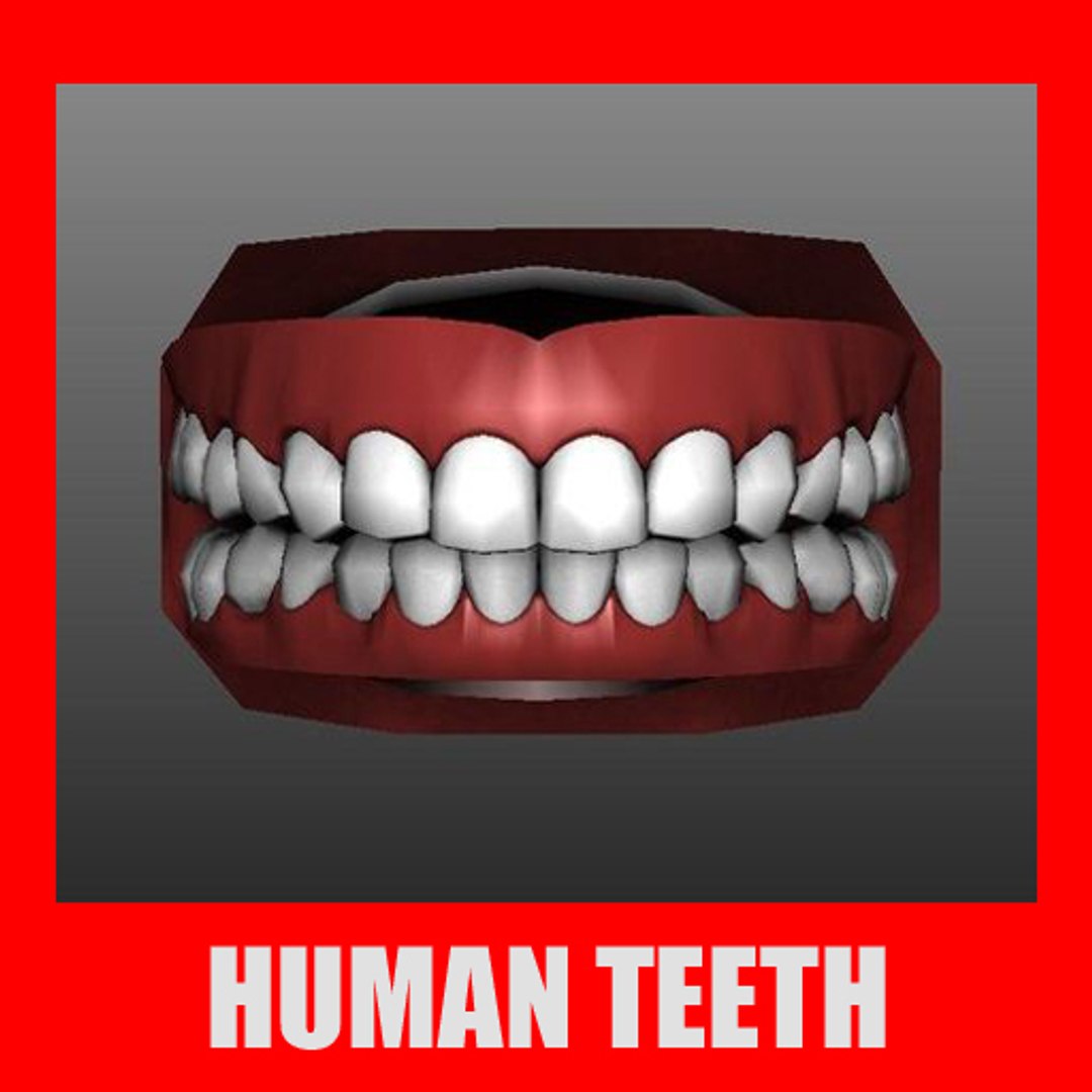 humans mouth max
