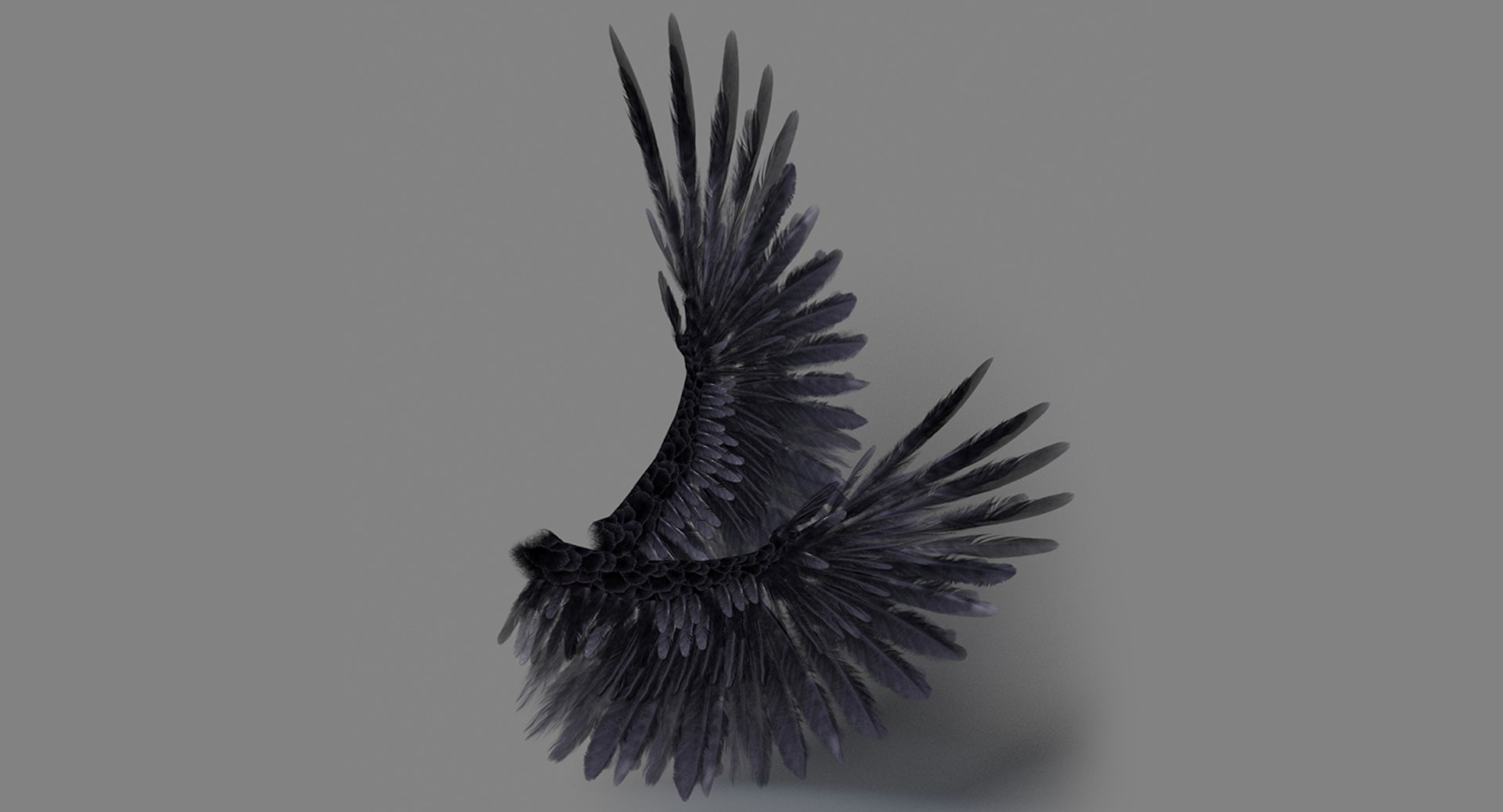 3d Model Realistic Wings Rigged