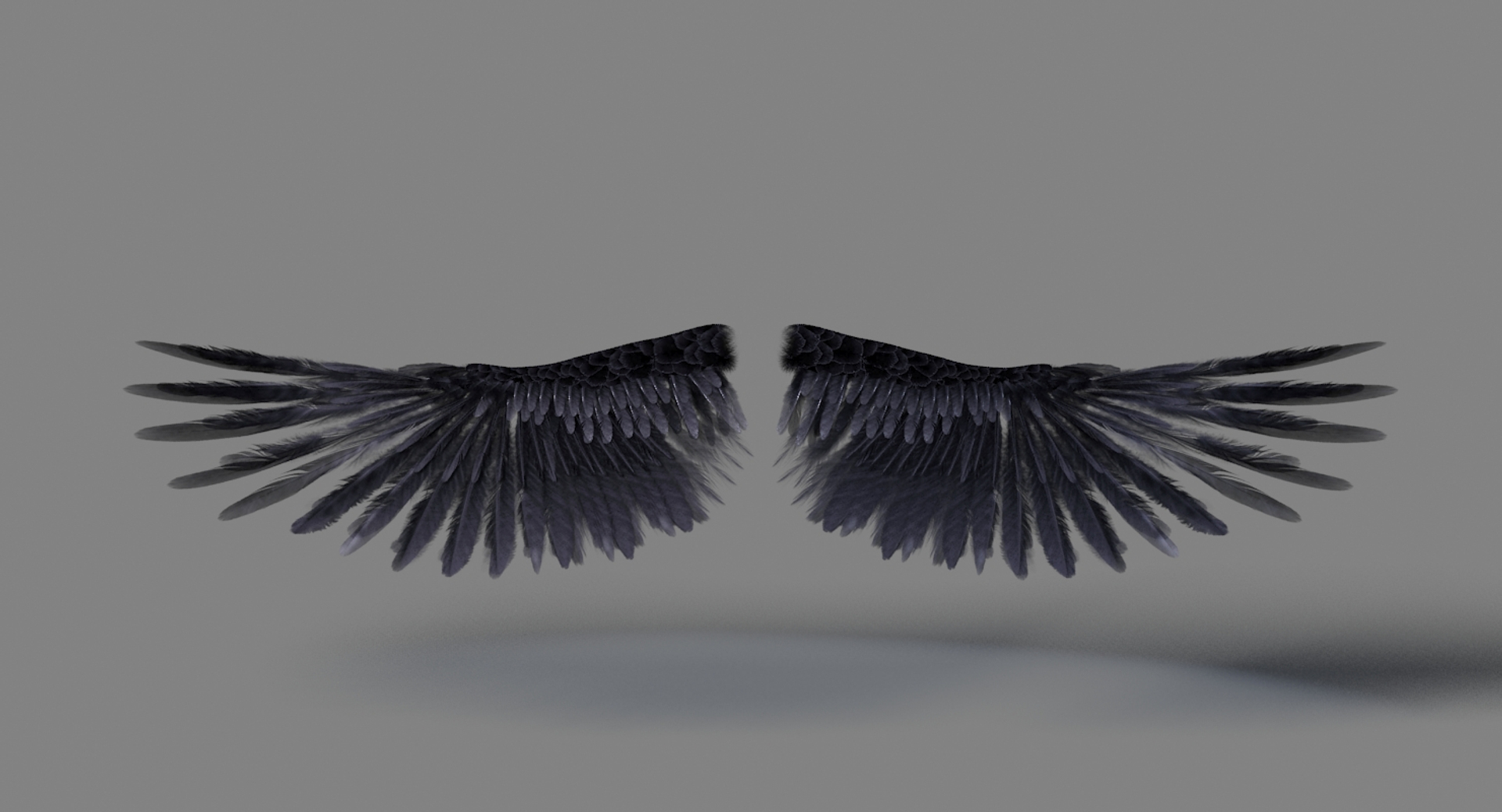 3d Model Realistic Wings Rigged
