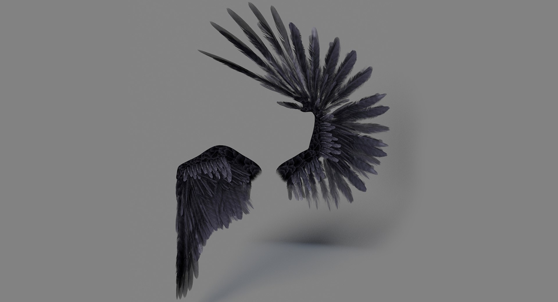 3d Model Realistic Wings Rigged