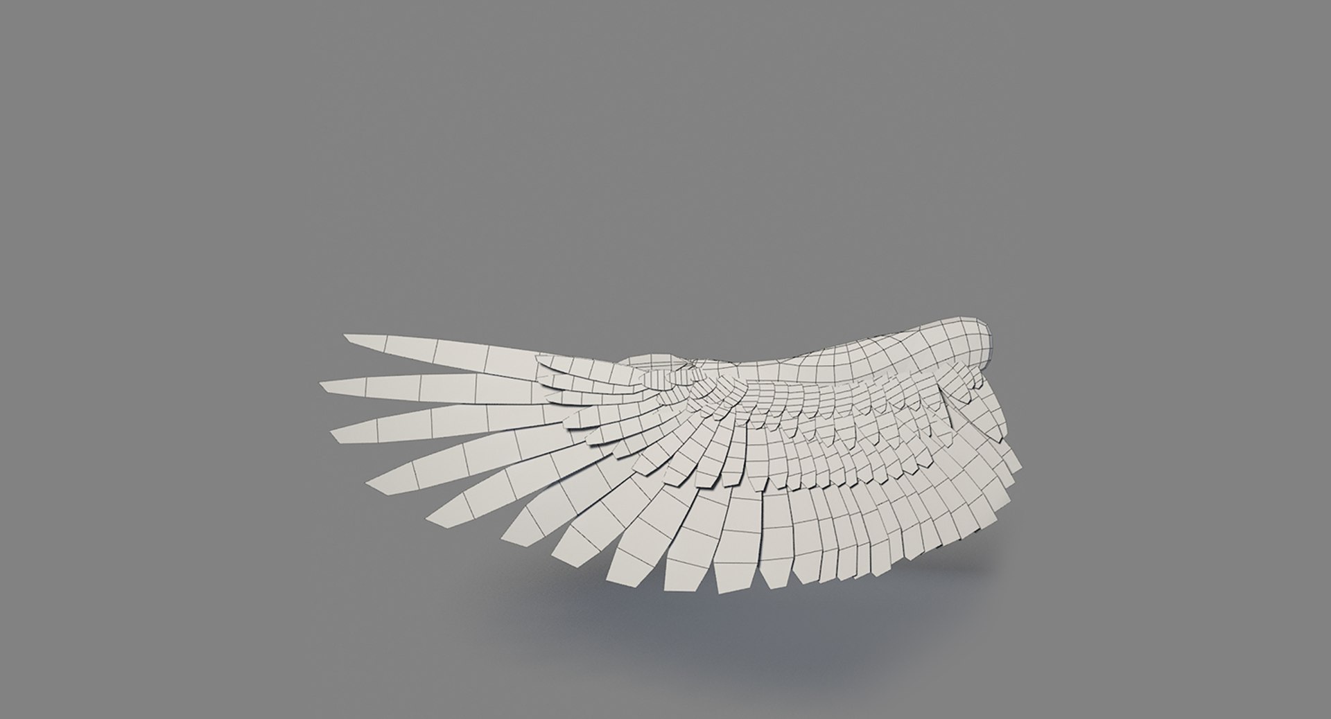 3d Model Realistic Wings Rigged