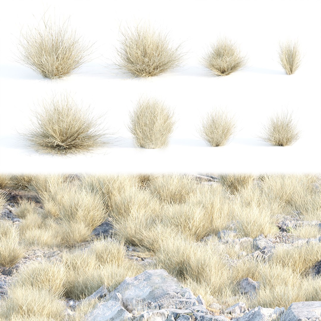 Lowpoly Wild Dry Grass Collection Vol 160-3dmodel 3D Model - TurboSquid ...