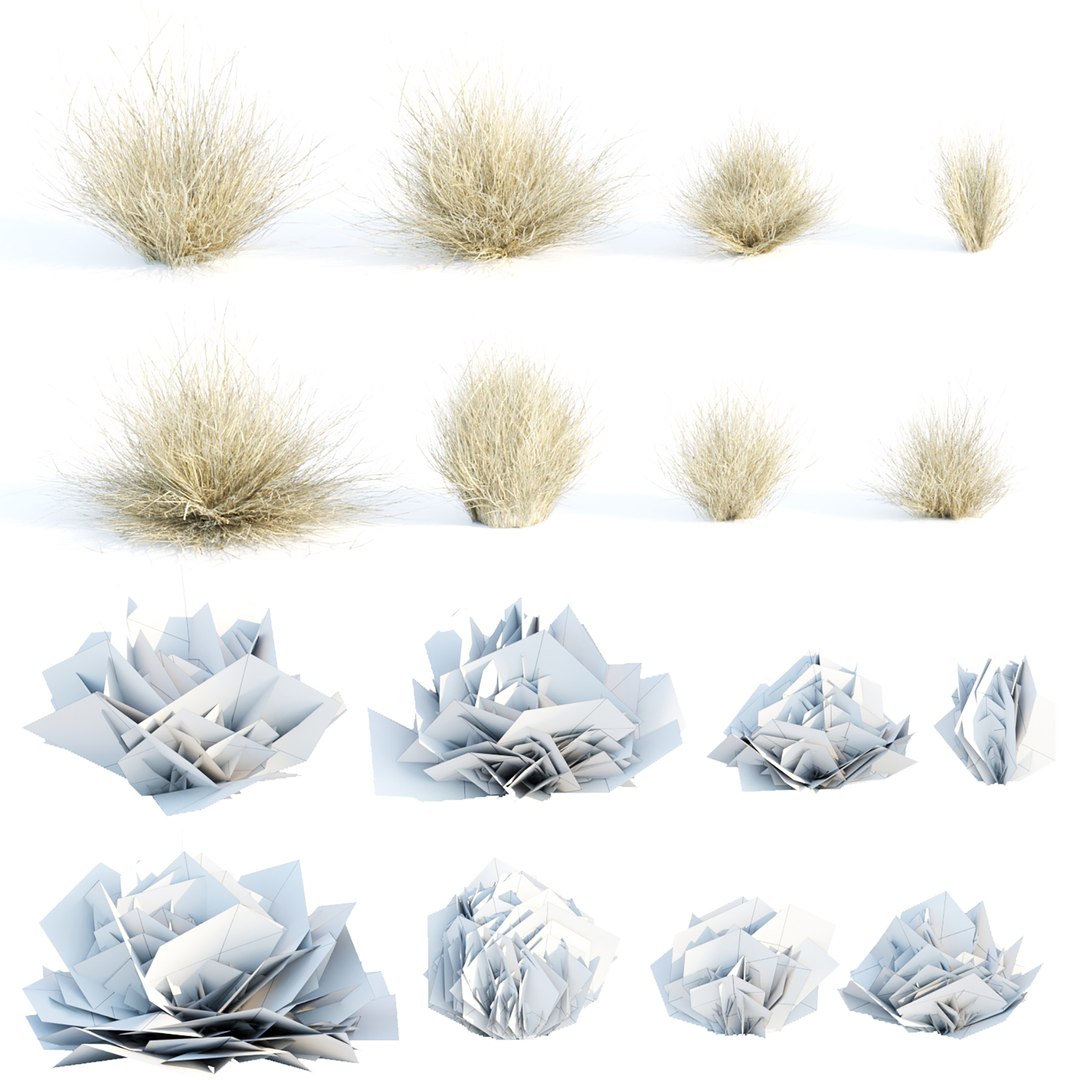 Lowpoly Wild Dry Grass Collection Vol 160-3dmodel 3D Model - TurboSquid ...