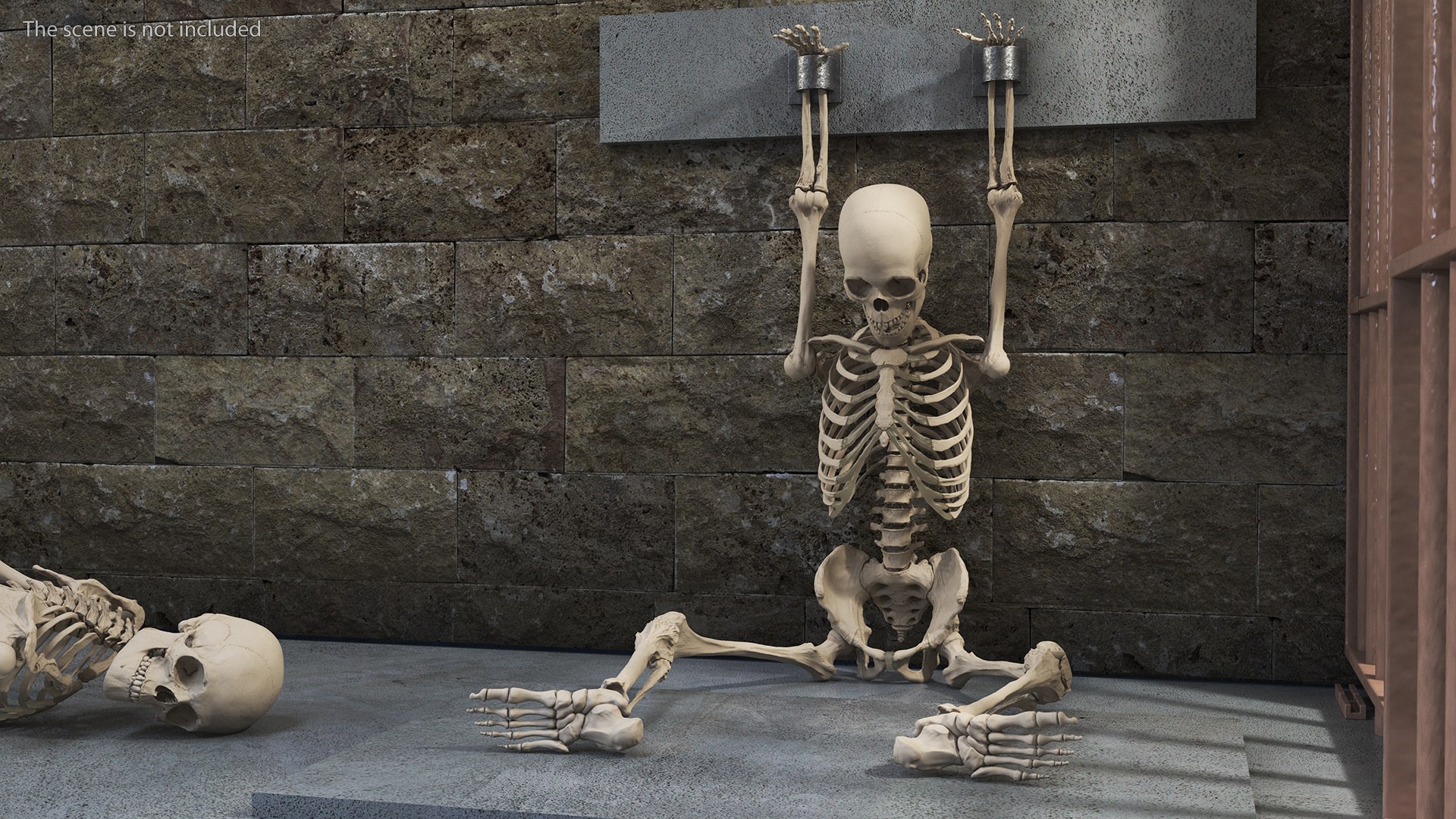 3D Prison Space with Male Skeleton Collection model - TurboSquid 2181262